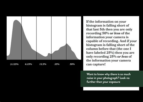 Got Noise — Photowild Magazine The Only Resource On Fieldcraft In