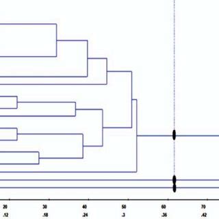 Representive Dendrogram Of Genetic Dissimilarity Of The Molecular Download Scientific Diagram
