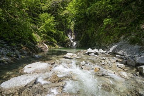 高校生と水と暮らすサステナブルなまち 北杜市を考える世界に誇る水の山ユースアイディアプロジェクト山梨県北杜市のプレスリリース