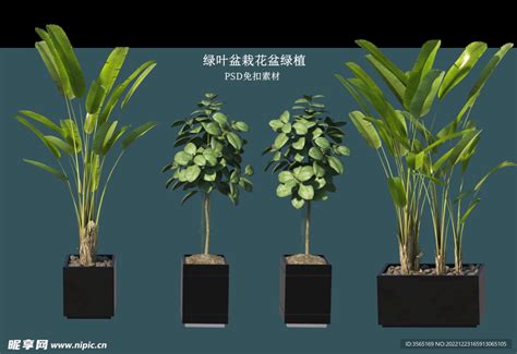 盆栽花盆绿植psd免扣素材设计图psd分层素材psd分层素材设计图库昵图网