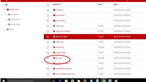 How To Add File Paths In Src Attribute Inside Img Tag Tutes Club