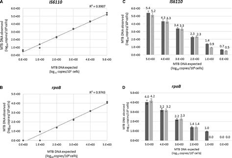 Frontiers Rapid Detection And Quantification Of Mycobacterium Tuberculosis Dna In Paraffinized