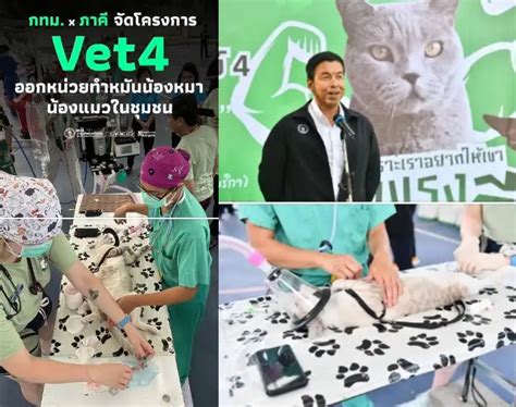 บรรยากาศคึกคัก งานโครงการเพื่อสังคม Vet4 ออกหน่วยทำหมันสุนัขและแมว เขต