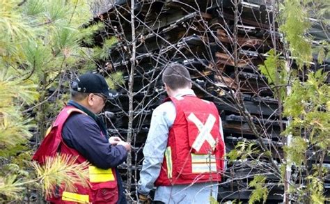 Gold Co A Worthwhile Speculative Addition