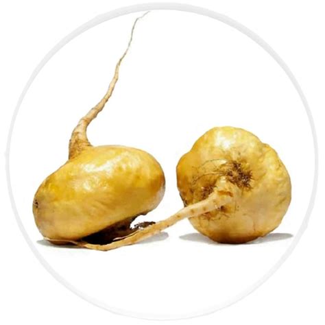 ჰორნი გოატ პოტენციის ასამაღლებელი