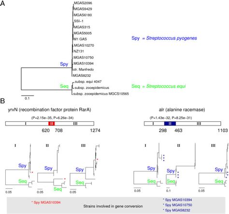 Application Of Mtcpconvon Two Groups Of Streptococcus Strains A Download Scientific Diagram