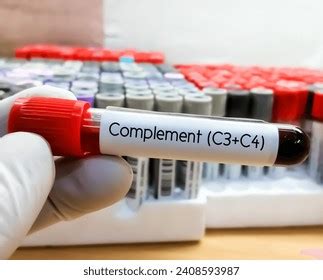 9 Hundred The Complement System Royalty Free Images Stock Photos
