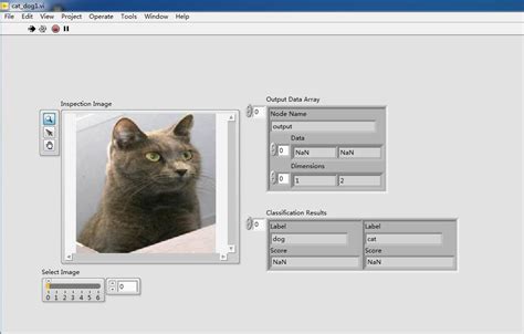 Tensorflow Api For Labview Ni Community