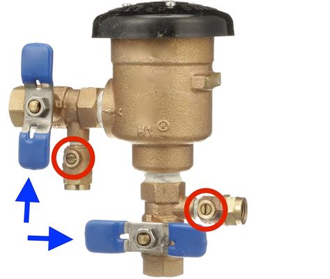 What Is A Backflow Preventer Irrigation At Carroll Newton Blog
