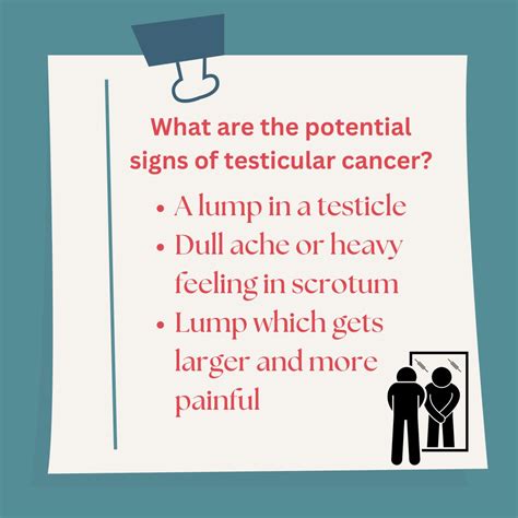 Checking Your Testicles Can Be An Easy Way To Make Sure There Arent
