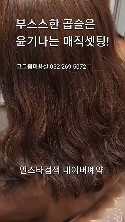 부스스한 곱슬은 윤기나는 매직셋팅 울산미용실 코코펌 삼산동미용실 복구전문복구크리닉 미용실 울산코코펌미용실고양이