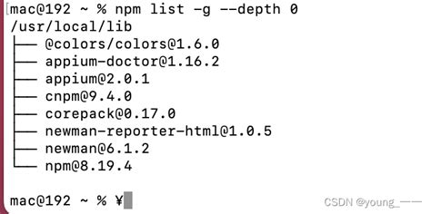 newman下载安装 csdn博客