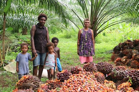 Improving Womens Access To Cash Crop Income In Papua New Guinea