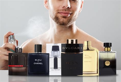 Perfume Similar To Lilu Grooming Wise
