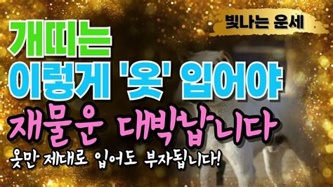 개띠운세👆개띠는 이런 옷을 입어야 큰 돈이 들어옵니다🙏💸개띠 옷 색상 색깔 악세사리 이렇게 착용하십시오🙏개띠금전운 개띠재물운 부르는 의상 공개합니다😊갑진년운세 Youtube