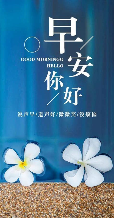 早安正能量语录今日励志心语 人生 成功 未来的