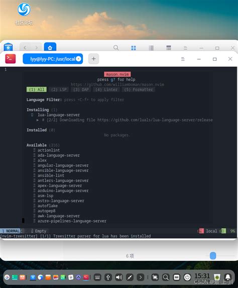 Deepin搭建go开发环境（git、go、neovim、nvchad、nerd Font）deepin Git Csdn博客