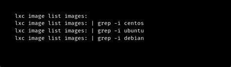 Configure Lxd On Ubuntu 2004 Simple Tutorial