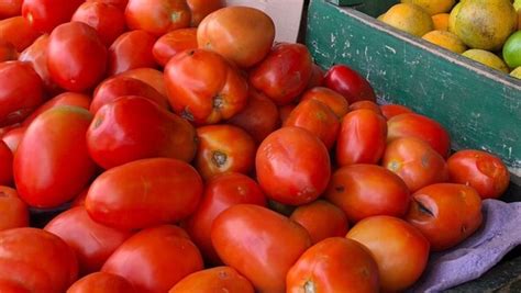 Tomate Empieza A Bajar Y Prevén Regular Importación A Fin De Mes