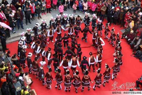 每日精選20161126 每日頭條