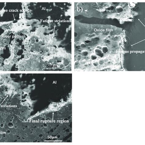Fatigue Fracture Morphology Of Cfrp 5083 Joints Under A Maximum Stress Download Scientific