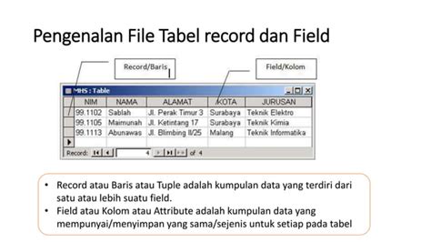 Materi Struktur Hirarki Basis Data Pptx
