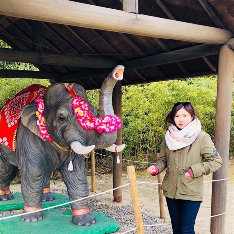 The Mongolian Couple Захиалга өгөөд л цагын дараа ингээд хүрээд ирдэг юм байна Анх удаа