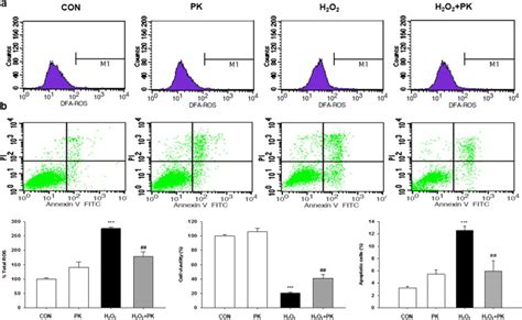 Exogenous Pancreatic Kininogenase Protects Against Renal Fibrosis In Rat Model Of Unilateral