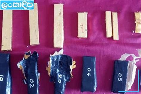 කෝටි 10 ක රන් බත්තලන්ගුණ්ඩුව කළපුවෙන් හමුවෙයි Lankadeepa Online