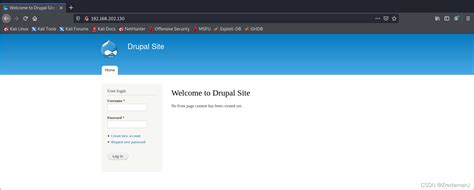 drupal7渗透实战：信息收集、漏洞利用与suid提权 csdn博客
