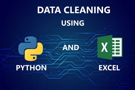 Clean And Organise Your Data Set Using Python Or Excel By Smusman1 Fiverr
