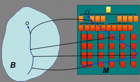 The Projection Of A Cognitive Orbit Download Scientific Diagram