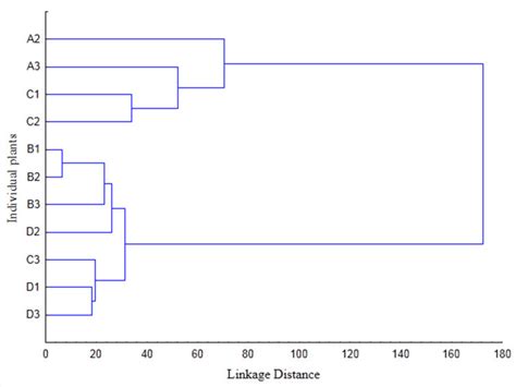 Agglomerative Hierarchical Clustering Using Ward´s Method Download