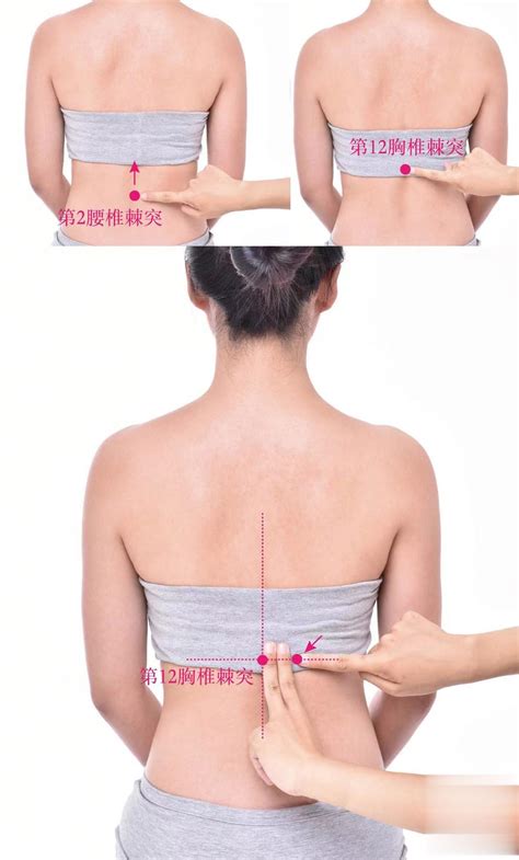 胃俞的准确位置图及功效视频位位置图按摩胃俞的准确位置图及功效视频的作用与好处经络穴位网