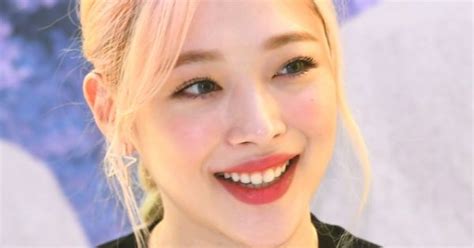 故 설리 리얼 베드신 강요 의혹 속…하차했던 전 감독 등판 오랫동안 마음 아팠다