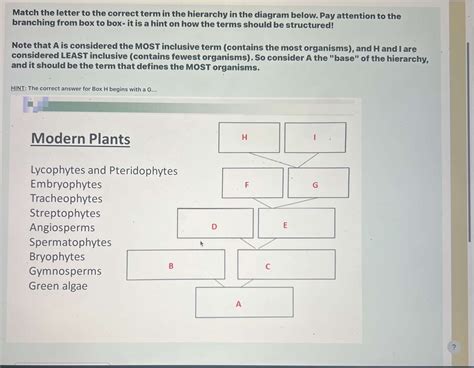 Solved Match The Letter To The Correct Term In The Hierarchy