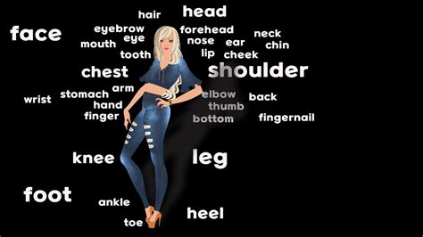 기초 영단어 얼굴 몸 신체 부위 영단어 Youtube