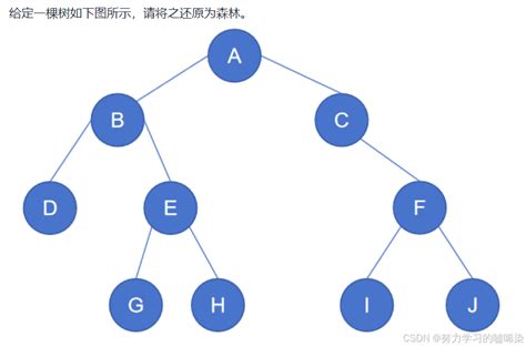 数据结构练习——树和二叉树02 csdn博客