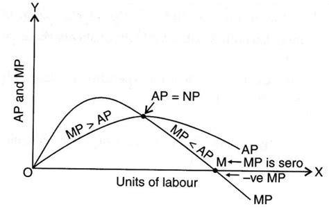 Explain Thr Relationship Between Ap And Mp With Help Of Diagram Sarthaks Econnect Largest