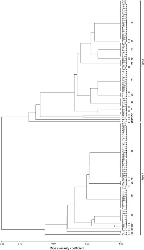 Unweighted Pair Group Method Using Arithmetic Averages Tree Produced
