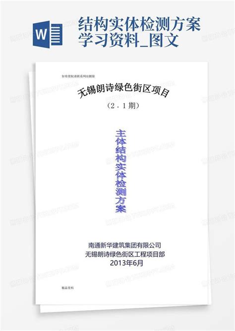 结构实体检测方案学习资料 图文 Word模板下载 编号qmzmzbob 熊猫办公