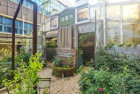 有益菌 黑水虻 蚯蚓生物协同湖北襄阳解锁厨余垃圾处理新模式 生态 细菌 鱼池