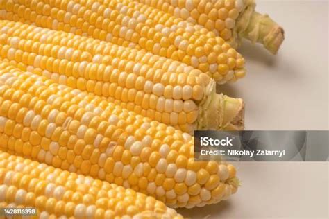 흰색 배경에 고립 된 노란색 옥수수 복사 공간을 참조하십시오 0명에 대한 스톡 사진 및 기타 이미지 0명 건강한 식생활 겉껍질 Istock