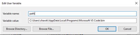 Vscode Tasks Code Is Not Recognized As An Internal Or External Command Stack Overflow