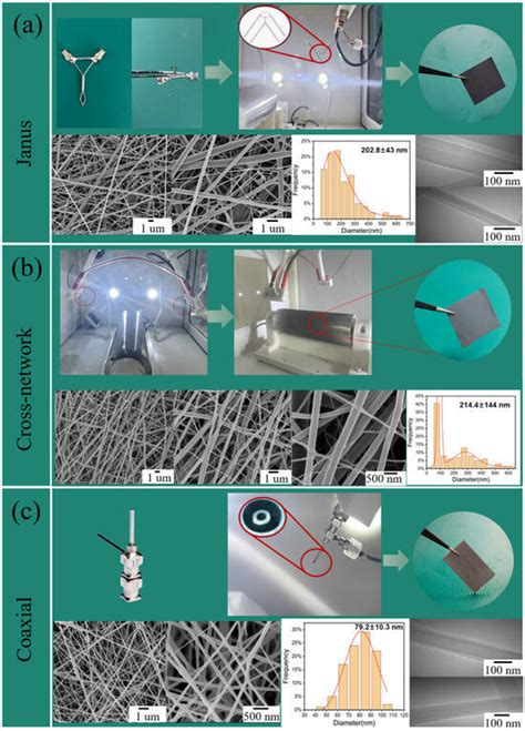 Polymers Special Issue 3d Printed Polymers For Tissue Engineering Or Bioelectronics