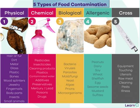 Examples Of Physical Contamination In Food Safety