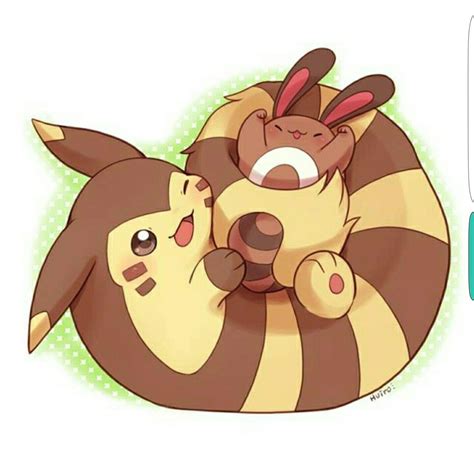 Furret Hd Wallpapers Wallpaper Cave