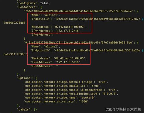 Docker学习第三天——docker容器技术（三）容器搜索域 Csdn博客