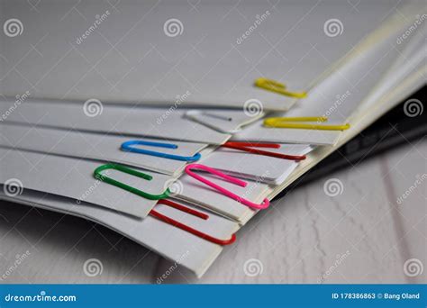 File Folder And Stack Of Business Report Paper File Isolated On Office Desk File Document