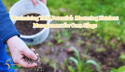 Nutrient Management Unlock Optimal Growth And Yield